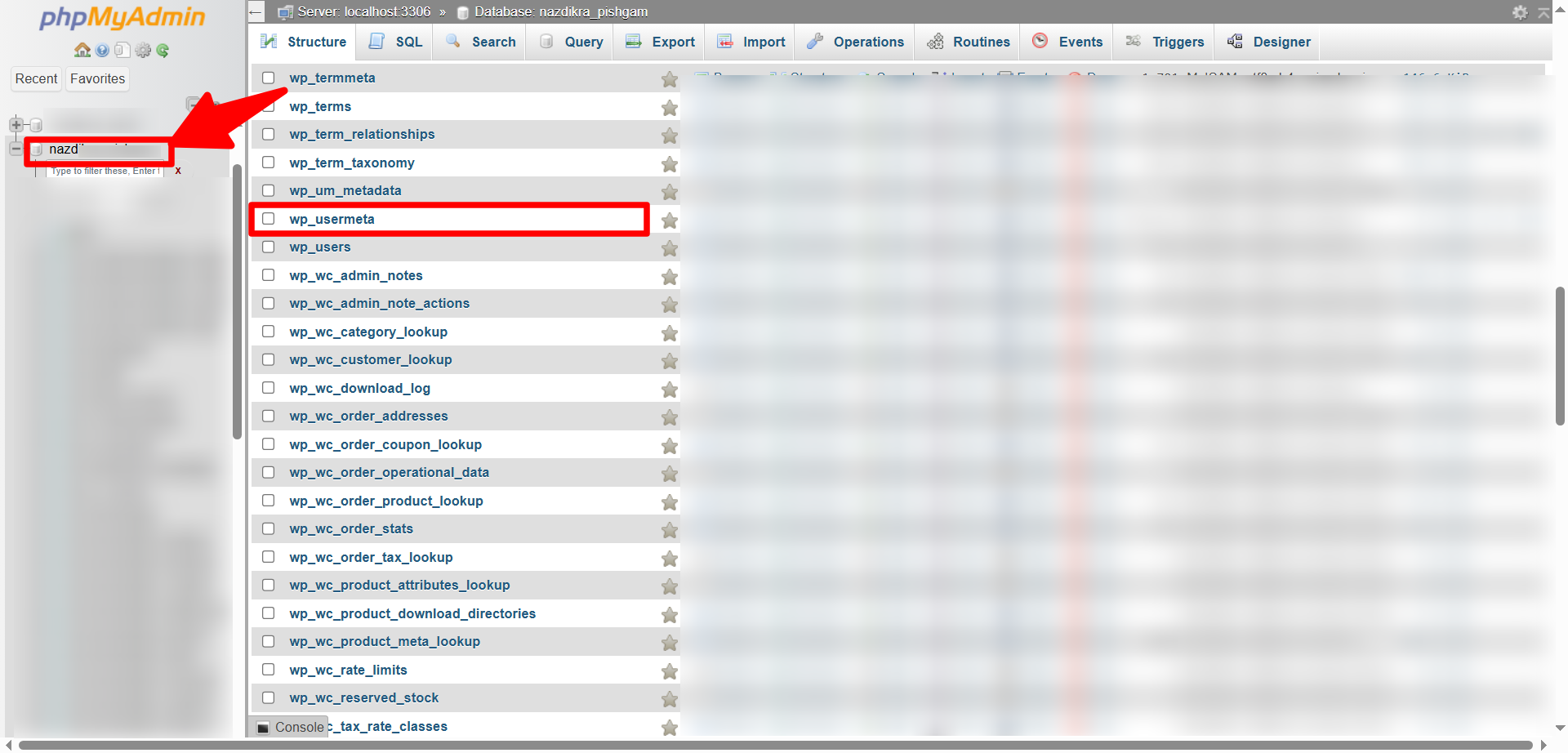 Create a WordPress Admin User via phpMyAdmin: Step-by-Step